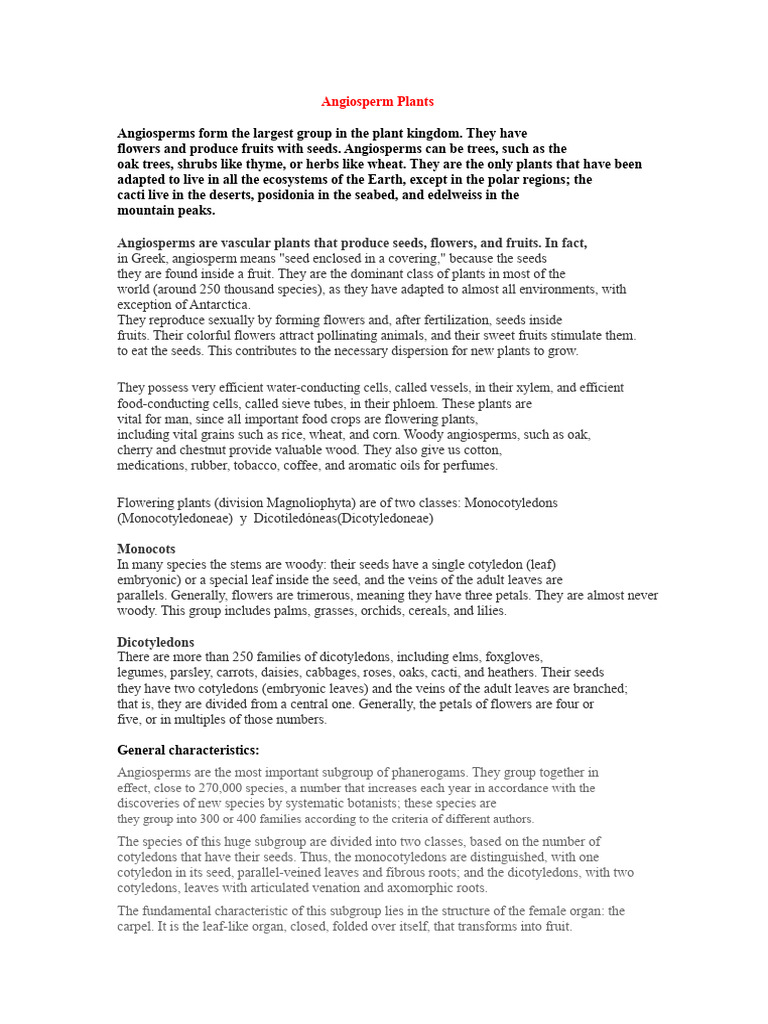 Angiosperm and Gymnosperm Plants | PDF | Flowers | Leaf