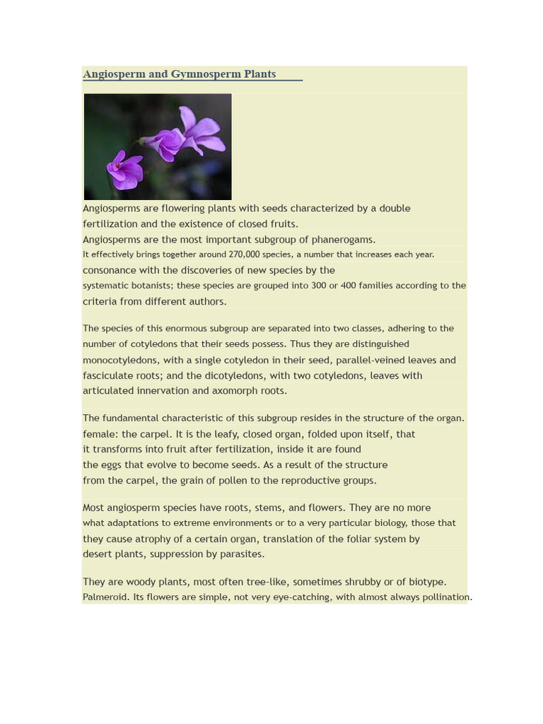 Angiosperm and Gymnosperm Plants | PDF | Seed | Flowers