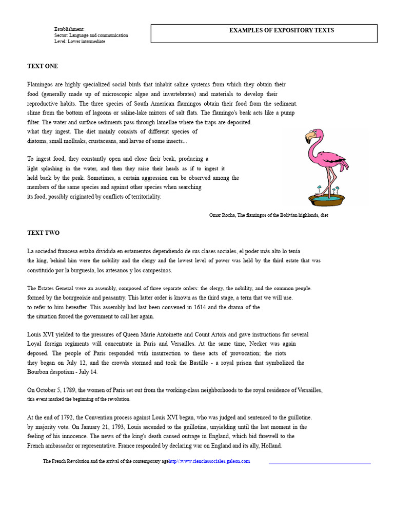 Expository Text Examples in Education | PDF