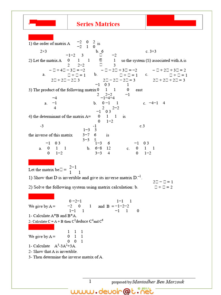 Exercise Series - Bac Matrix - Economics and Management | PDF | Matrix ...
