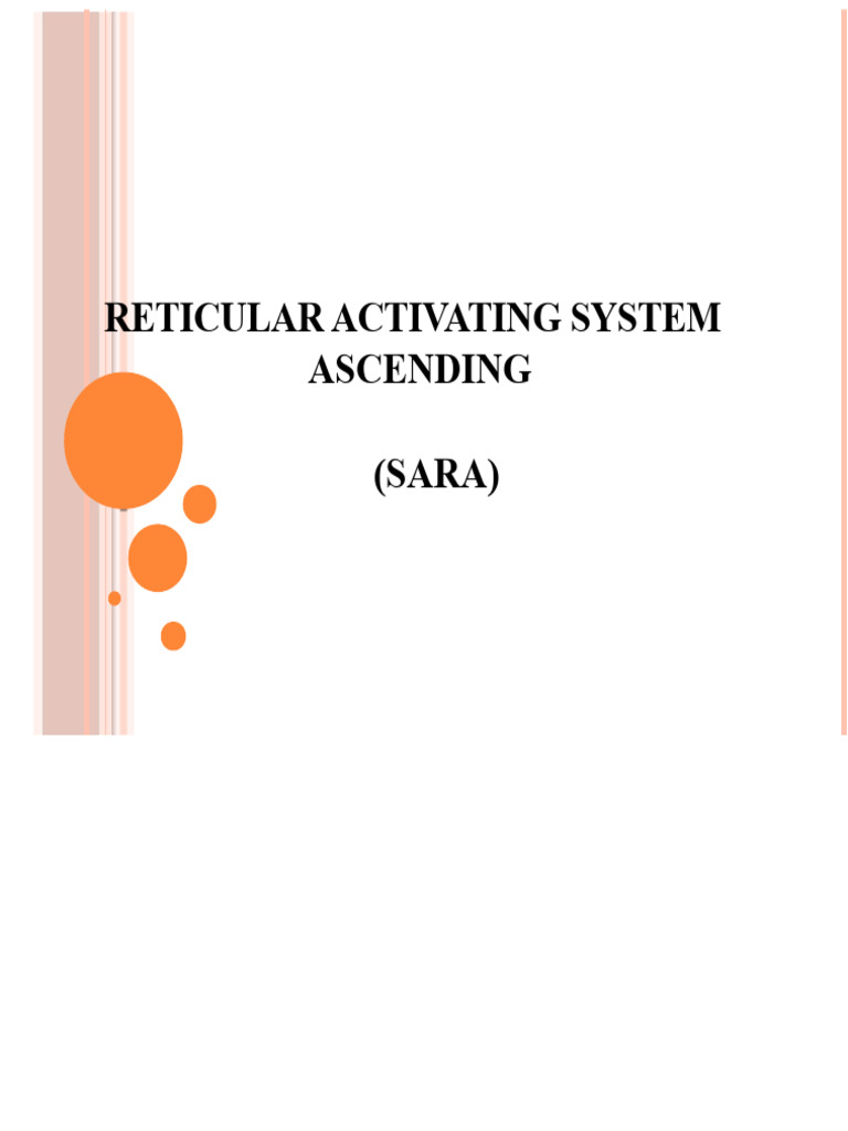 58867296 Ascending Reticular Activating System 1 | PDF ...