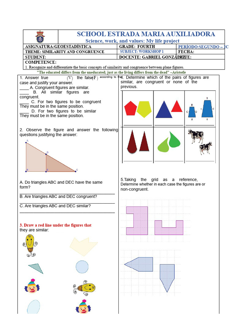 WORKSHOP 1 - Similarity and Congruence | PDF | Triangle | Shape