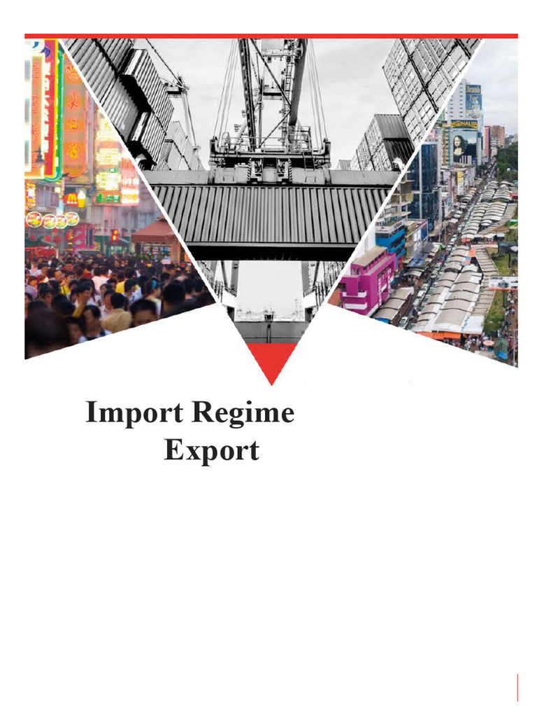 Import and Export Regime Overview | PDF | Taxes | Value Added Tax