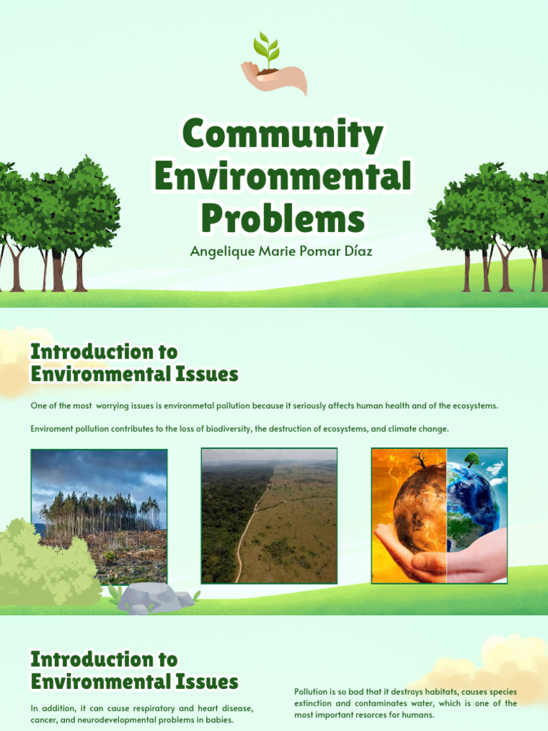Community Environmental Issues and Solutions | PDF | Waste | Pollution