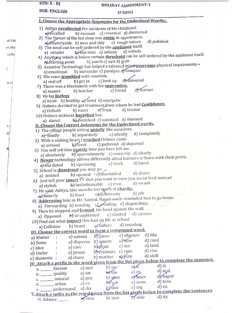 Holiday Assignment1 | PDF