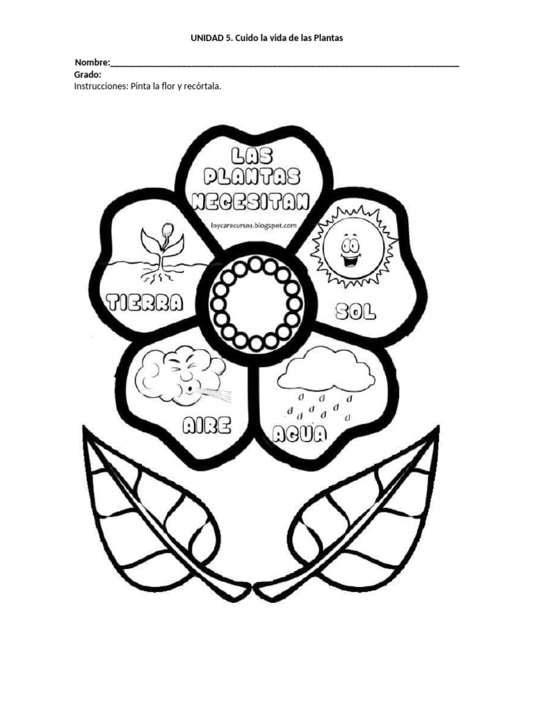 Hojas de Tarea de Las Plantas | PDF | Plantas | Fruta