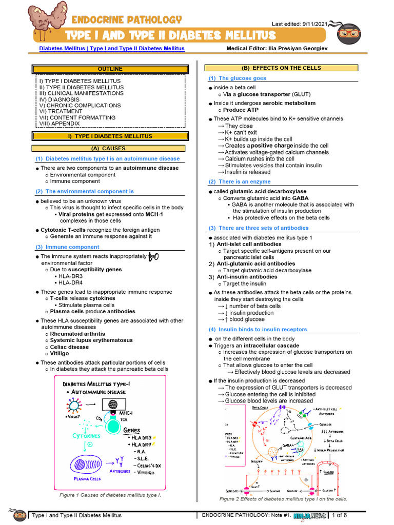 Diabetes Mellitus Pdf Diabetes Immune System