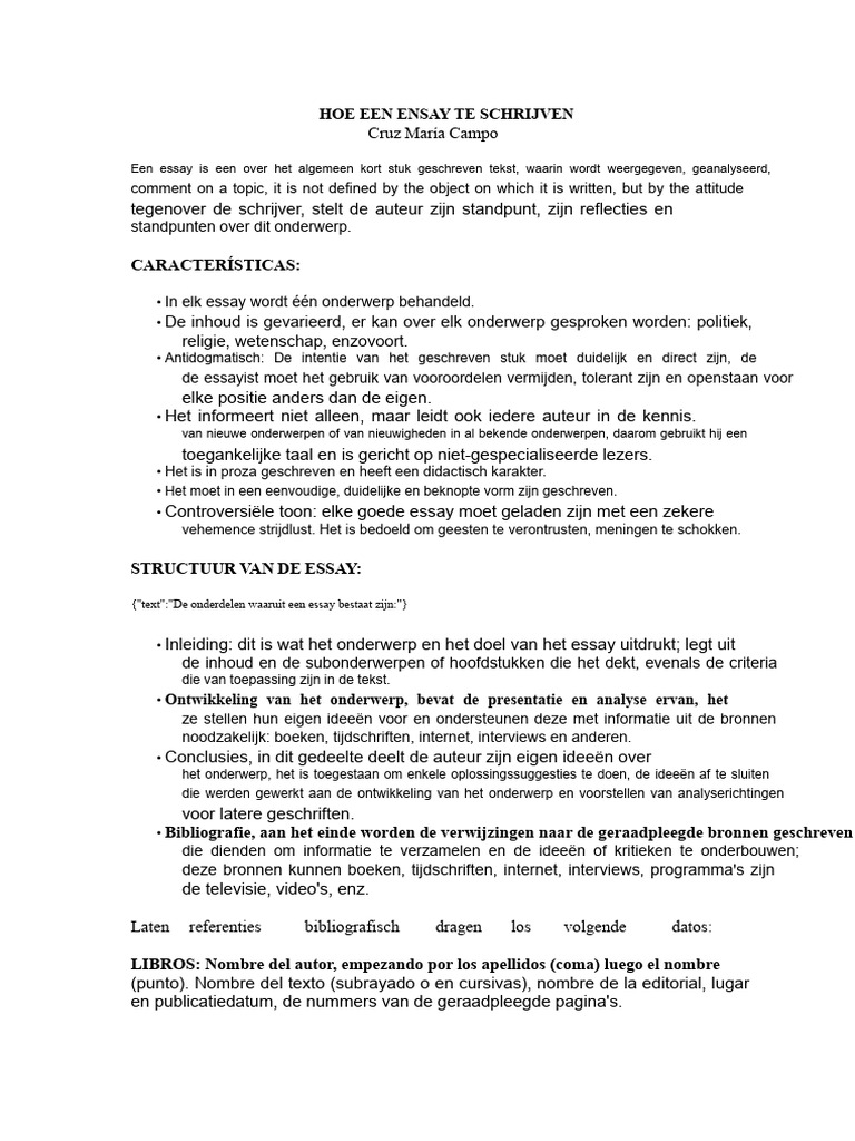 Hoe Een Essay Te Schrijven | PDF