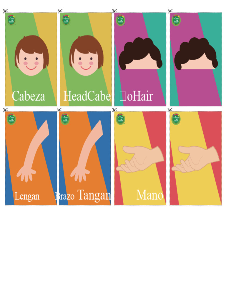 Ingatan Bagian Tubuh | PDF