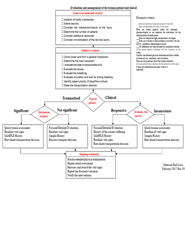 Flowchart For Evaluation and Management of Trauma and Clinical Patient ...