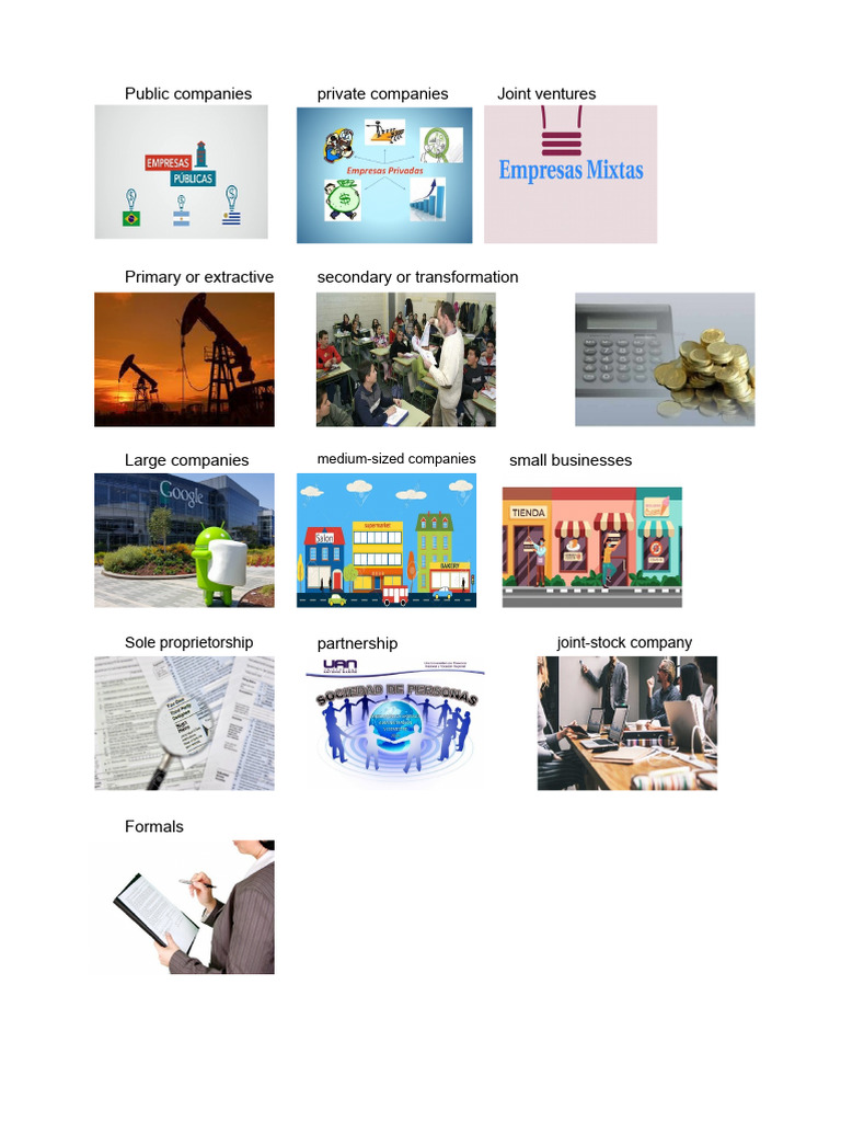 Public Companies Private Companies Mixed Companies | PDF