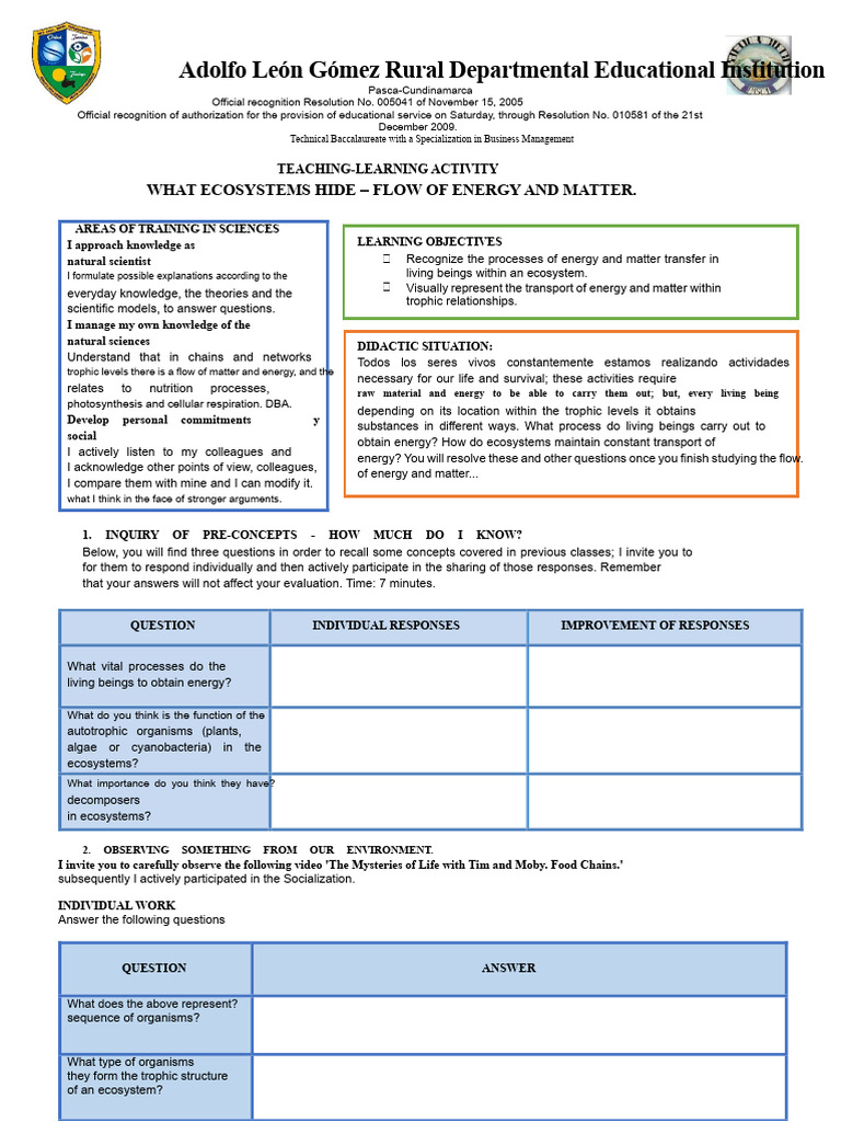Teaching - Learning Activity Energy and Matter Flow | PDF | Food Web ...