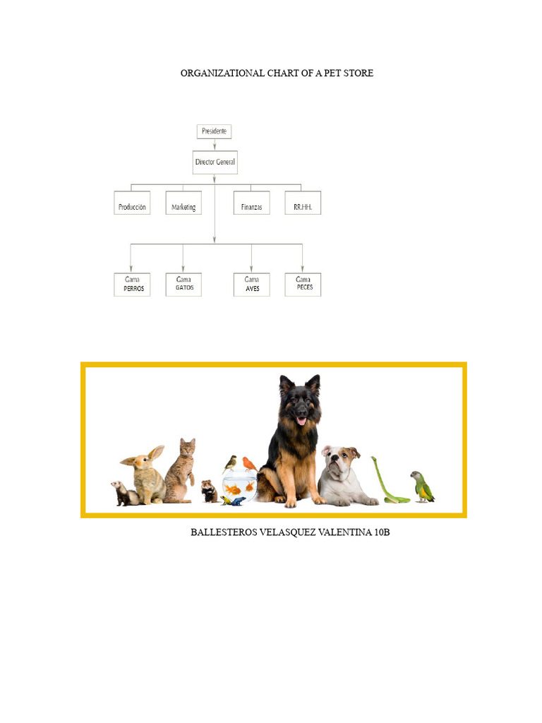 ORGANIZATIONAL CHART OF A PET STORE.docx | PDF