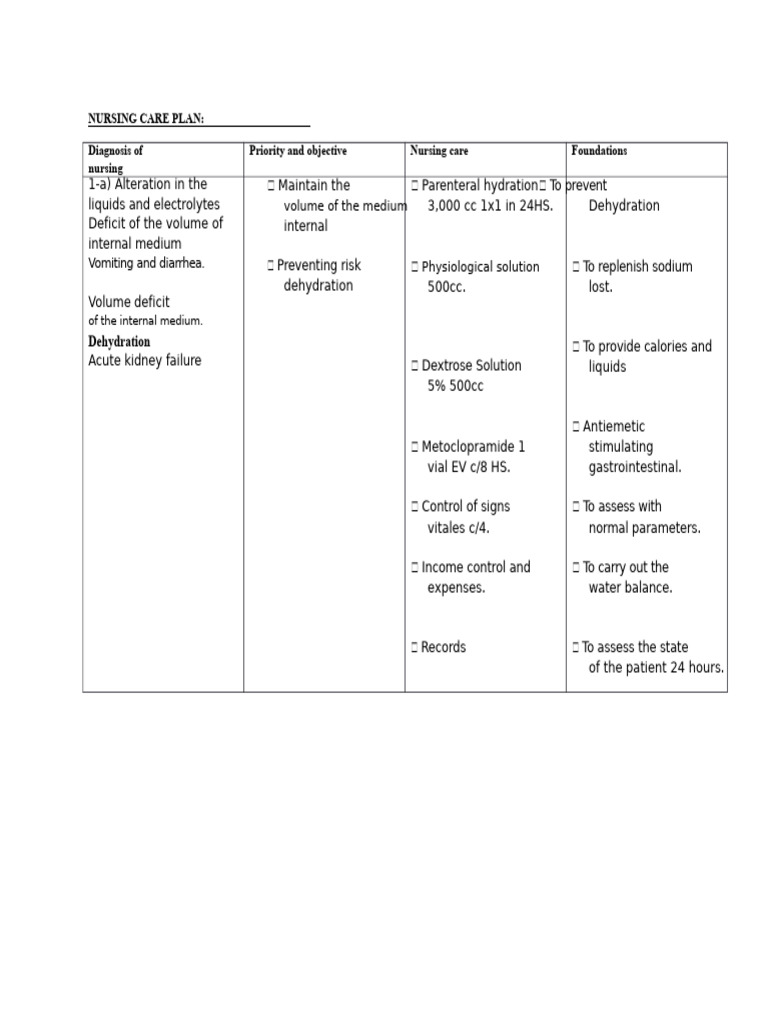 Nursing Care Plan | PDF | Dehydration | Kidney