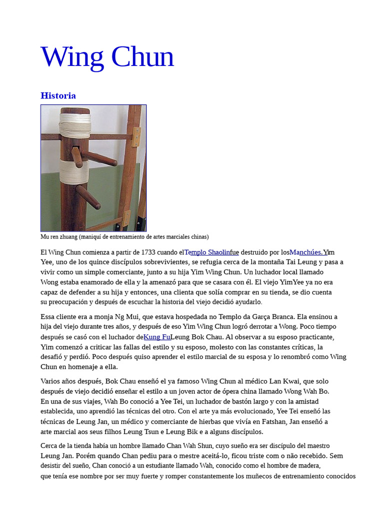 técnicas del wing chun | PDF | Wing Chun | Artes marciales chinas
