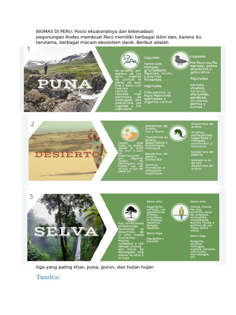 Bioma Peru: Puna, Gurun, dan Hutan | PDF