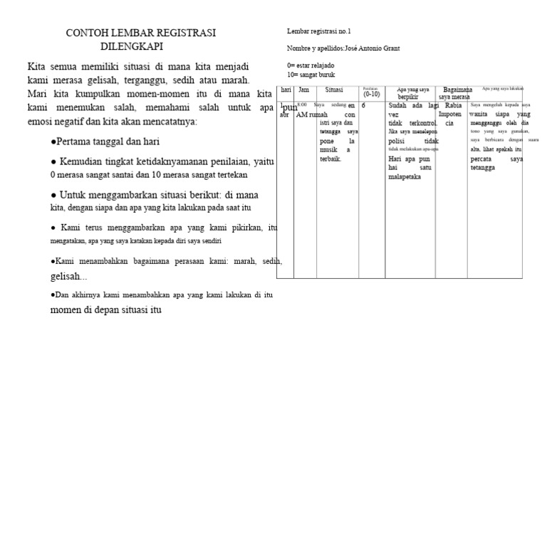Contoh Lembar Pencatatan Situasi Yang Diisi | PDF