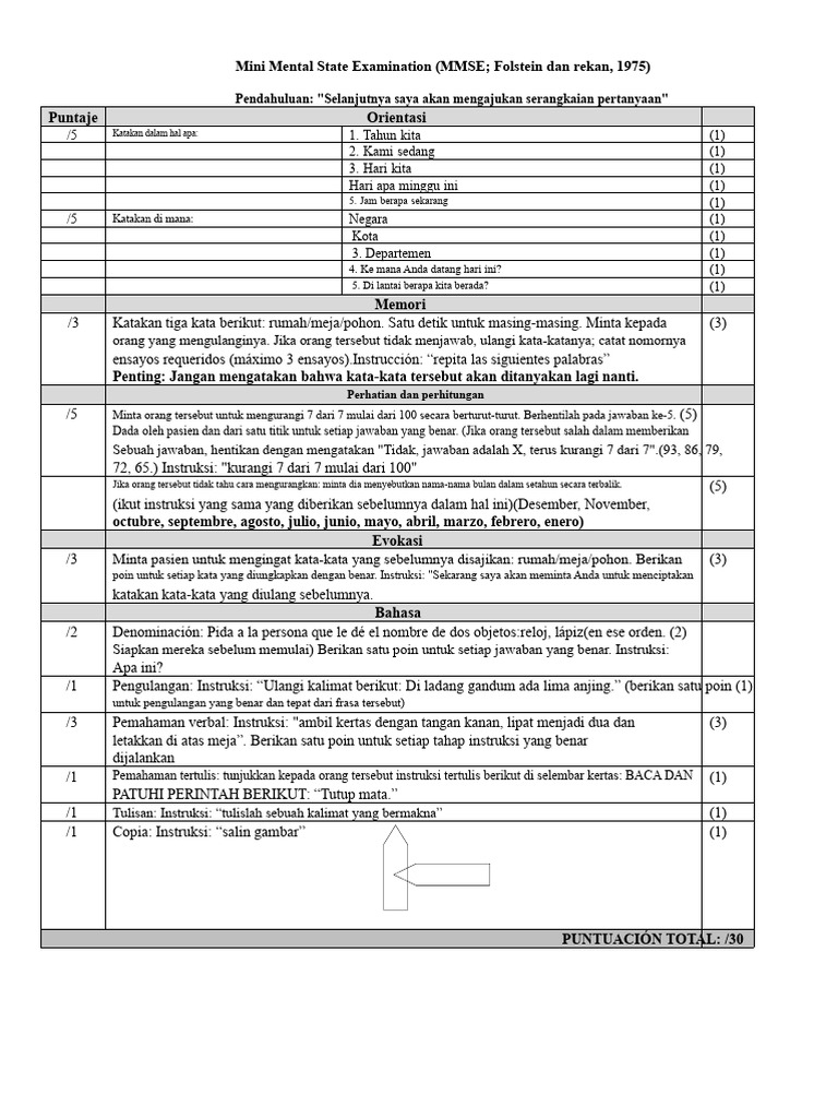 Panduan Mini Mental State Examination | PDF