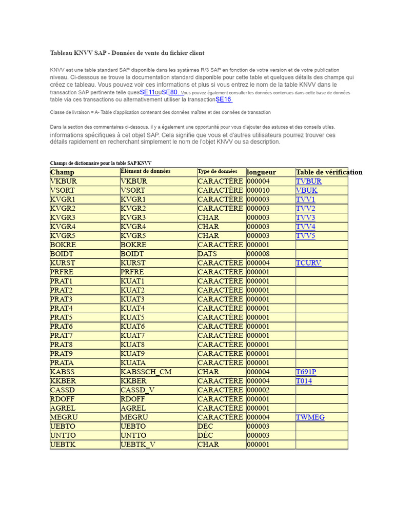 Tableau Knvv SAP | PDF | Informatique | Informatique
