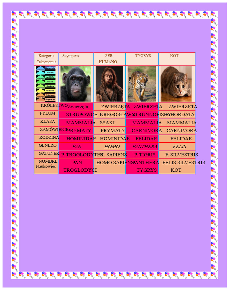 taksonomia | PDF