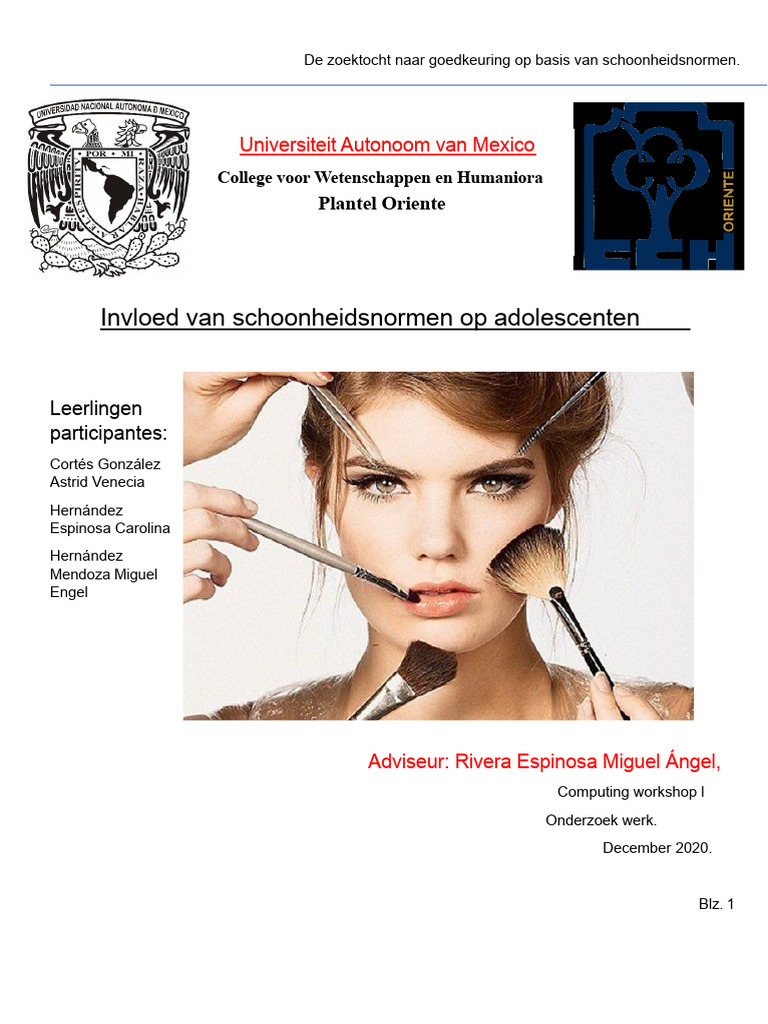 Onderzoeksproject - Schoonheidsnormen Bij Adolescenten - Eindevaluatie ...