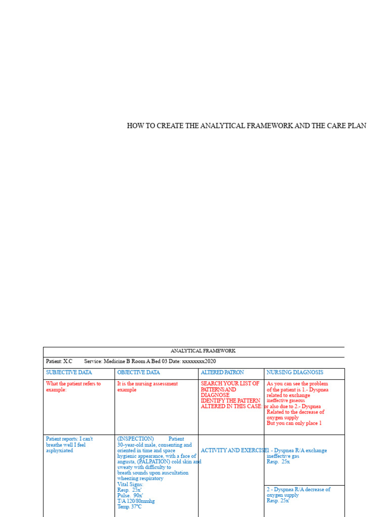 Analytical Framework and Care Plan Guide | PDF | Nursing | Health Sciences