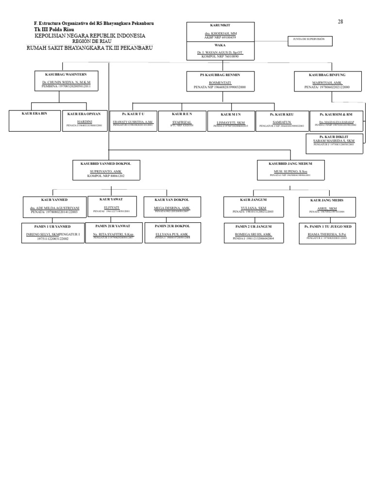 4a. ESTRUCTURA RUMKIT 2019 | PDF