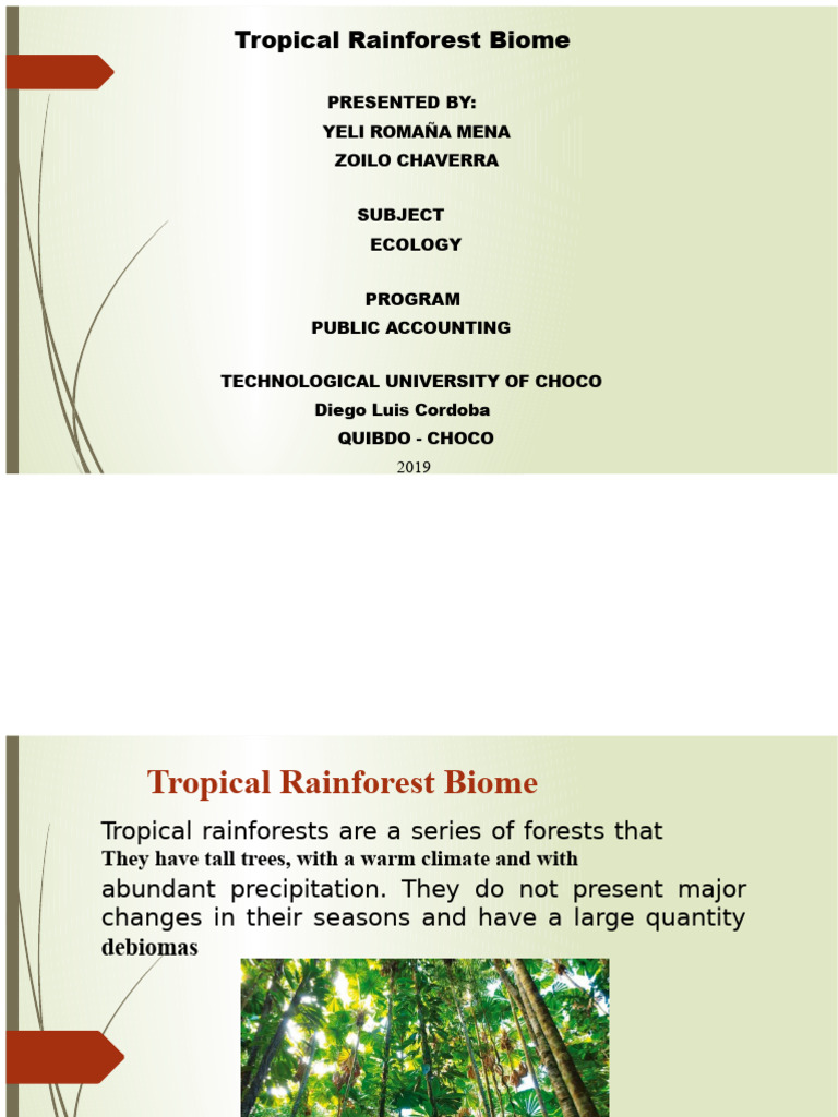Slides On The Tropical Rainforest | PDF | Rainforest | Tropics
