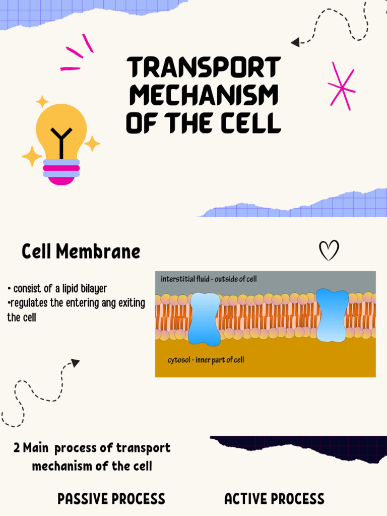 Cell Transport Mechanisms Explained | PDF