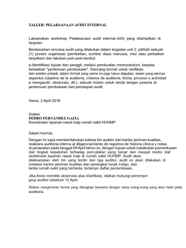Contoh Audit Internal Rumah Sakit | PDF