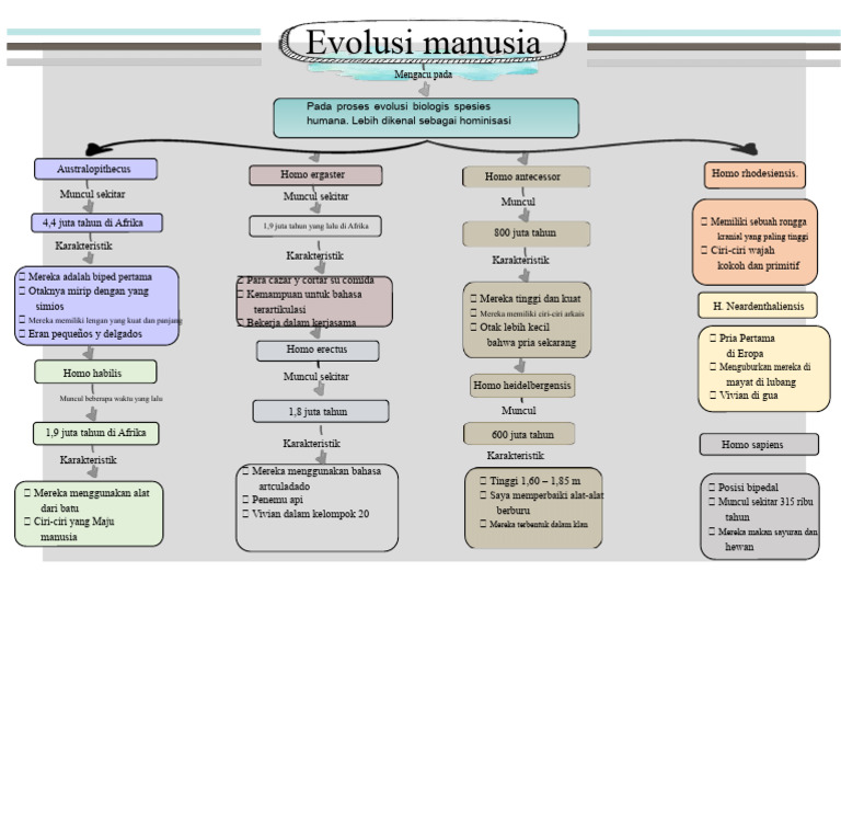 Evolusi manusia.docx | PDF
