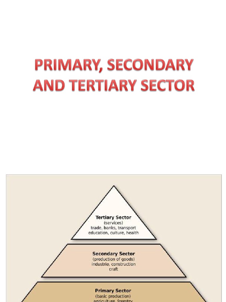 Primary, Secondary and Tertiary Sector | PDF