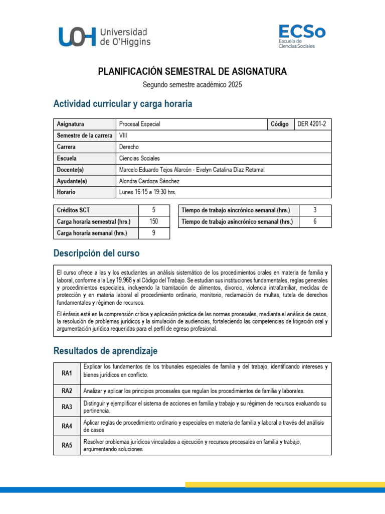 Formato Planificaci n Procesal Especial s 2 | PDF | Ley procesal | Justicia