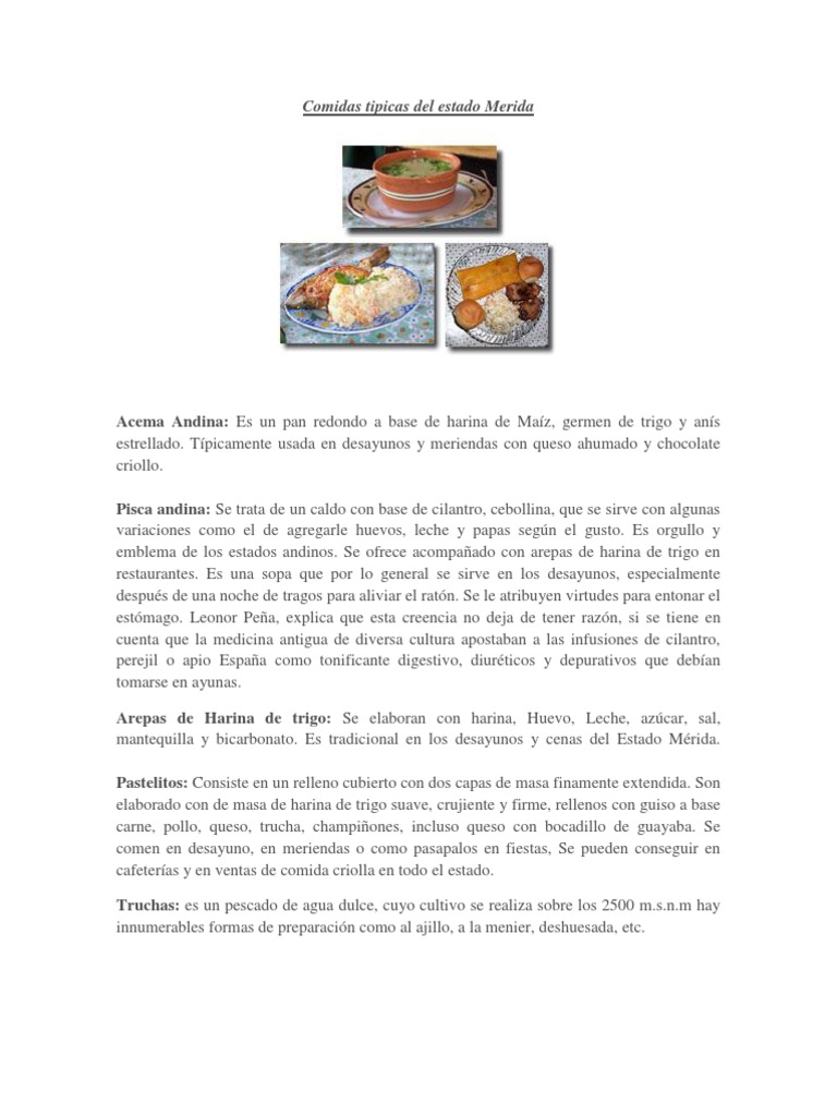Acema Andina | PDF | Alimentos | Cocina