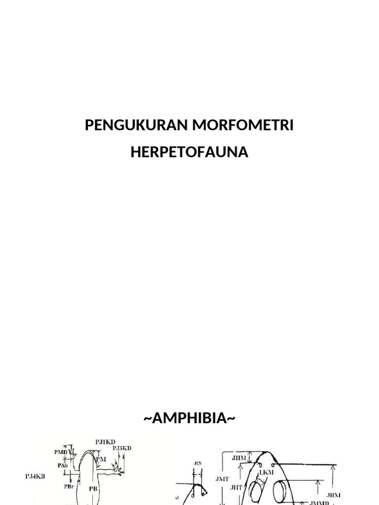 Pengukuran Morfometri Herpetofauna | PDF