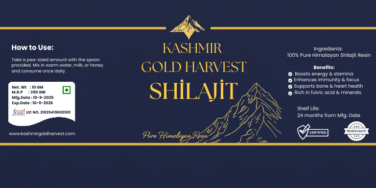 10 GM Final Design | PDF