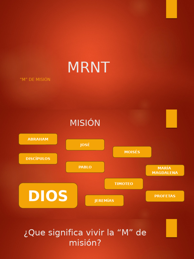 Mision en MRNT | PDF