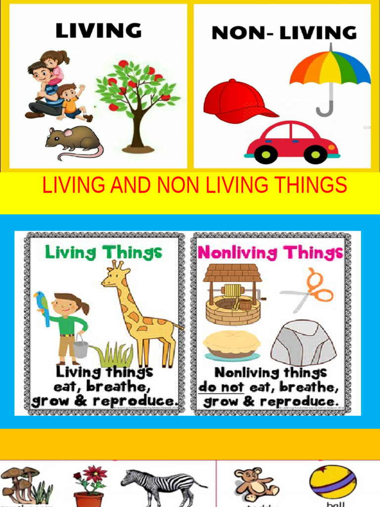 Living and Non Living Things | PDF