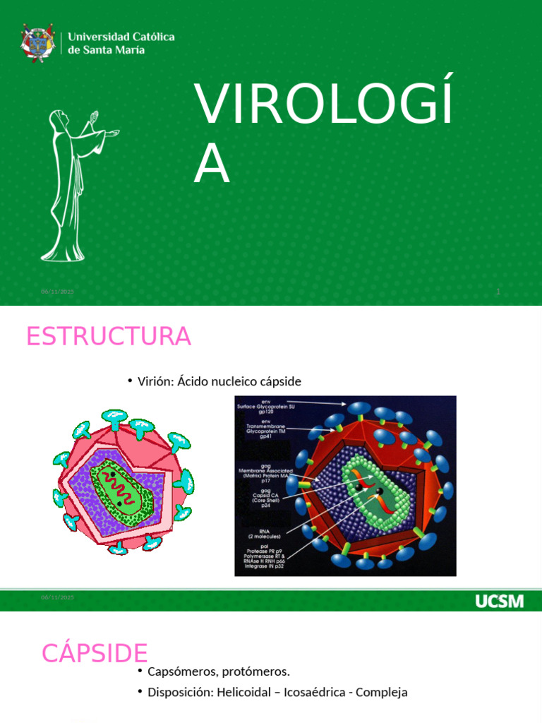 Ii. 10 Virologia | PDF | Virus | Sistema inmune