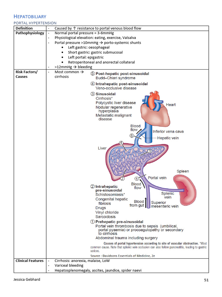 Portal Hypertension and Jaundice Overview | PDF | Pancreas | Gallbladder