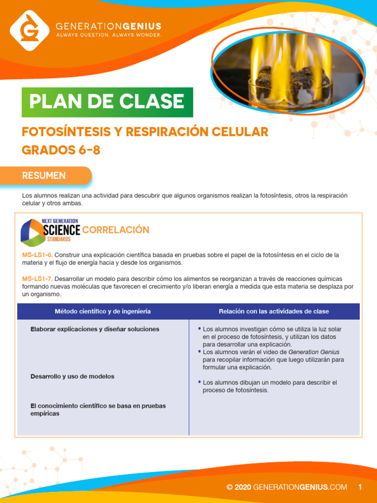 GG Photosynthesis Respiration LP Spanish | PDF | Fotosíntesis | Plantas