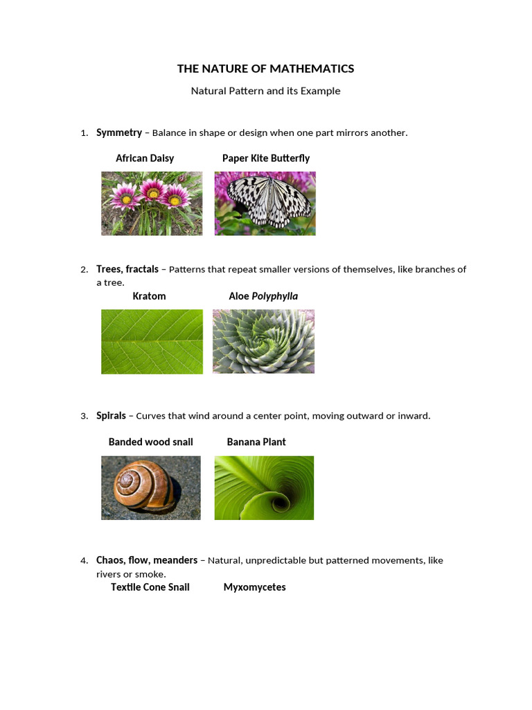 The Nature of Mathematics | PDF