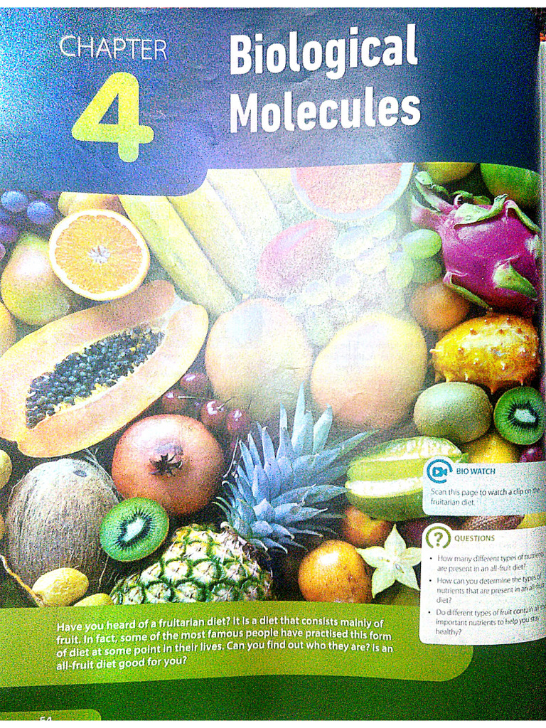 Ayrah Biology Chapter 4 | PDF