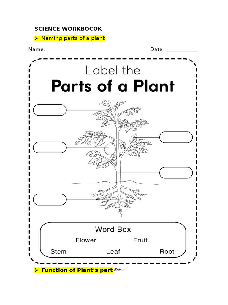 Science Workbook | PDF