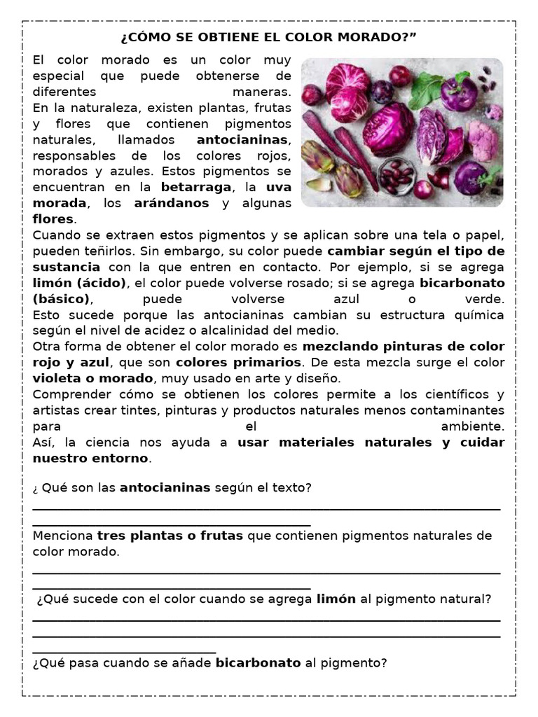 31-10 Ficha de Ciencia CÓMO SE OBTIENE EL COLOR MORADO | PDF | Color ...