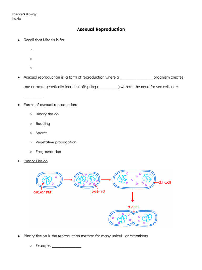 Gap Note Asexual Reproduction | PDF | Sexual Reproduction | Plants