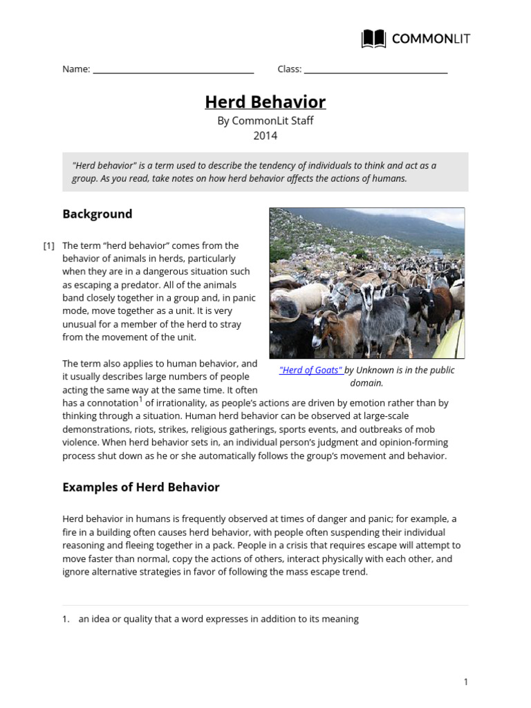 Understanding Herd Behavior in Humans | PDF | Herd | Panic