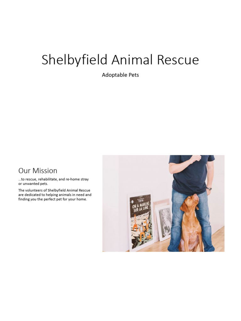 Exo Powerpoint | PDF