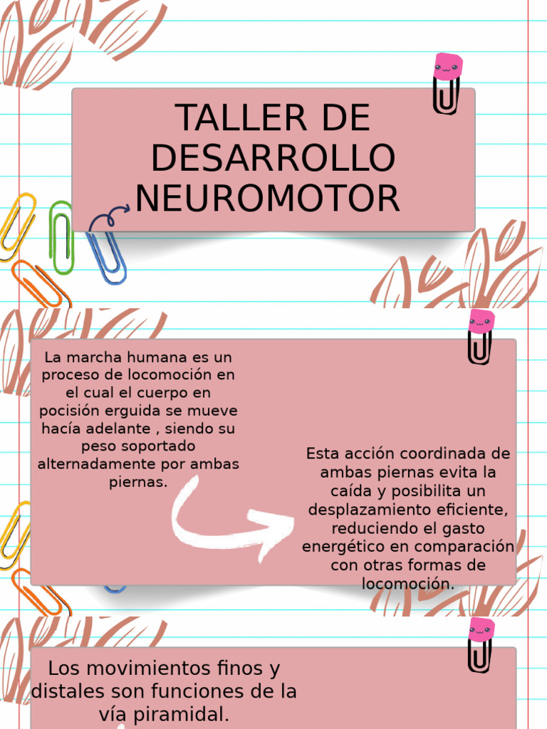 Desarrollo Neuromotor | PDF | Neurona motora | Sistema nervioso
