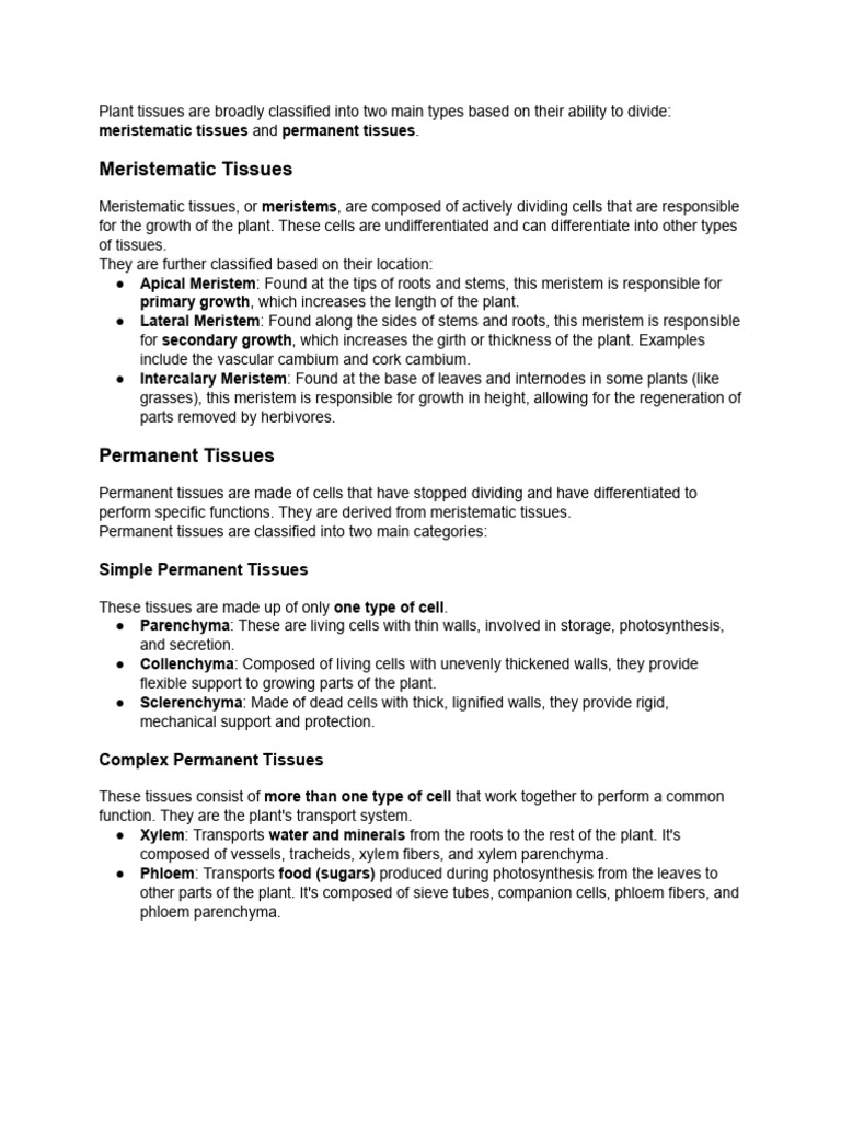 Classification of Plants Tissue | PDF